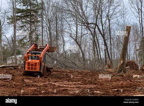 Tree Stump Removal The Digging Out Of Trunk Roots With Mini Excavator In Preparing Land For