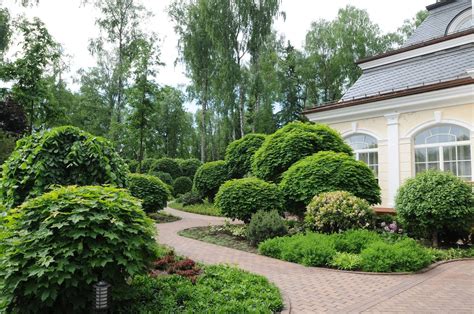 Хостарий в ландшафтном дизайне (74 фото) - красивые картинки и HD фото