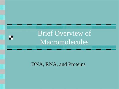 Ppt Brief Overview Of Macromolecules Dna Rna And Proteins Dokumen Tips