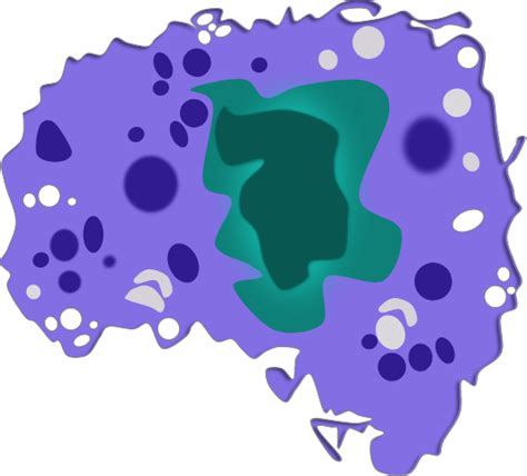 Macrophage Nexus Bioquest