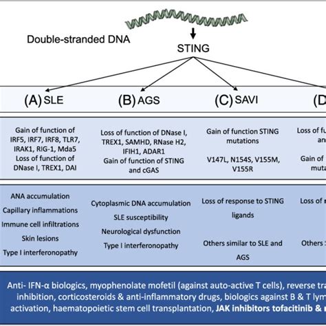 Sting Mediated Evasion Of Antiviral Immunity Download Table