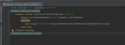 New Flag In Apktool For Automatic Generic Network Configuration