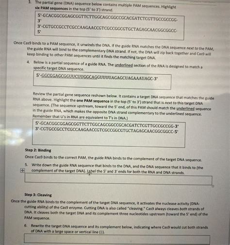 Solved The Partial Gene DNA Sequence Below Contains Chegg