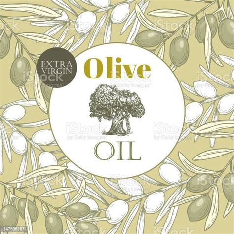 올리브 오일 배너 디자인 서식 파일입니다 스케치 스타일 올리브 가지와 밝은 배경에 올리브 나무가 있는 엑스트라 버진 벡터 레이블 벡터 그림입니다 건강한 식생활에 대한 스톡