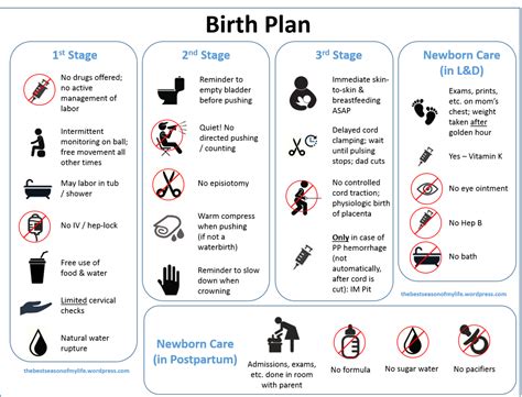 A Downloadable Visual Birth Plan Artofit