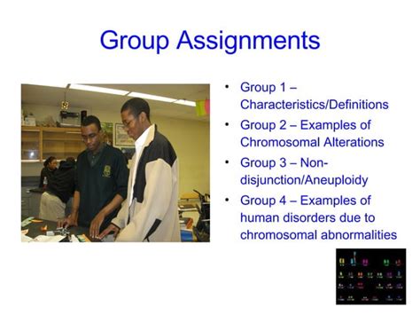 Elmo Document Camera Presentation Ppt Cameras And Camcorders Consumer Electronics