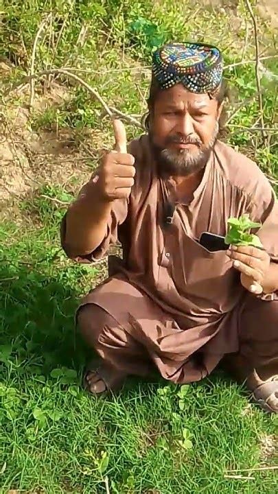 Baba Umer Malang Youtube