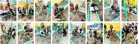 Projeto Horta Colégio Imperatriz Leopoldina