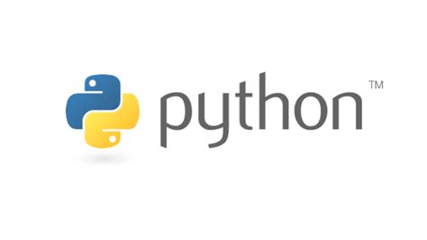 Python Torch がインストールできない場合の対応策 │ Team T3a