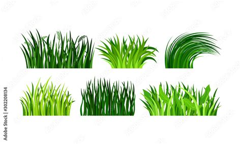 Six Types Of Different Tufts Of Green Grass Vector Illustration Set