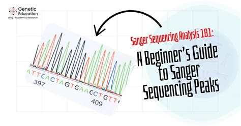 A Beginner S Guide To Sanger Sequencing Peaks Genetic Education