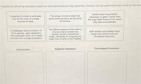 Solved Classify The Following Examples Based On What
