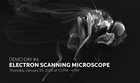 Demo Day 4 Scanning Electron Microscope Sem