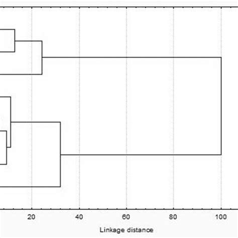 Hierarchical Clustering Euclidean Distances Wards Agglomeration