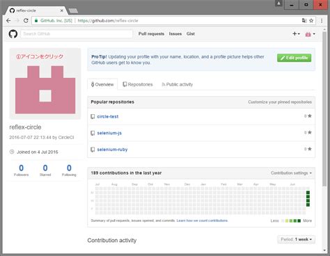 GitHub Reflex Circle Selenium Ruby