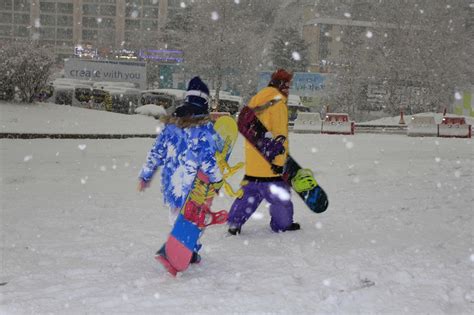 보드 스키 겨울 스노 Kostenloses Foto Auf Pixabay Pixabay