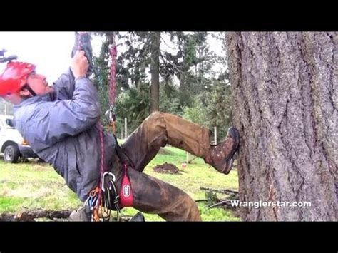 Tree Climbing Equipment At Best Price In India