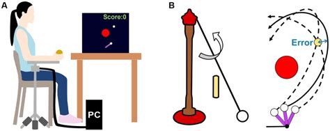 Gender Differences In Throwing Revisited Sensorimotor Coordination In