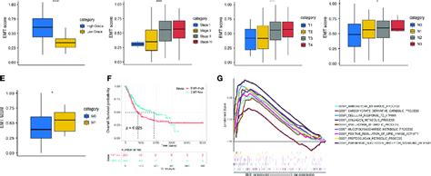 Emt Score Shows Important Clinical Prognostic Value And Biological Download Scientific Diagram