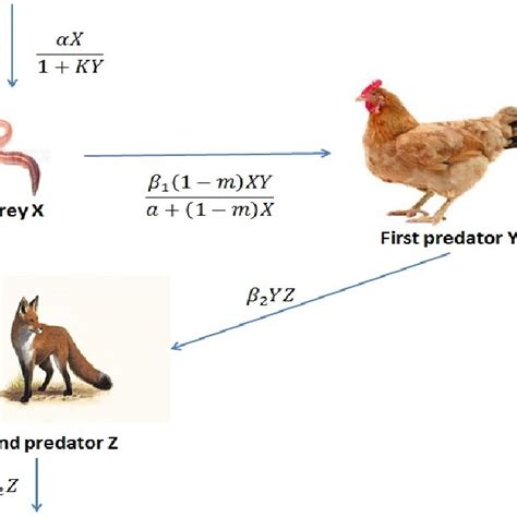 Pdf The Fear Effect On A Food Chain Prey Predator Model Incorporating A Prey Refuge And Harvesting