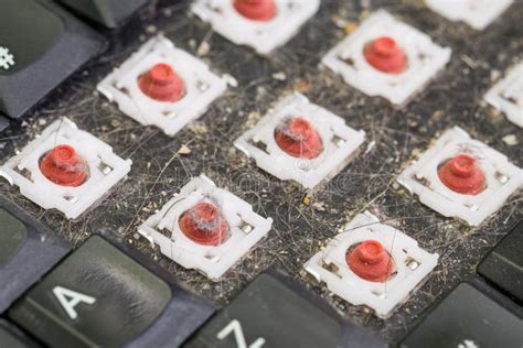 Dirty Keyboard Photos Free Royalty Free Stock Photos From Dreamstime