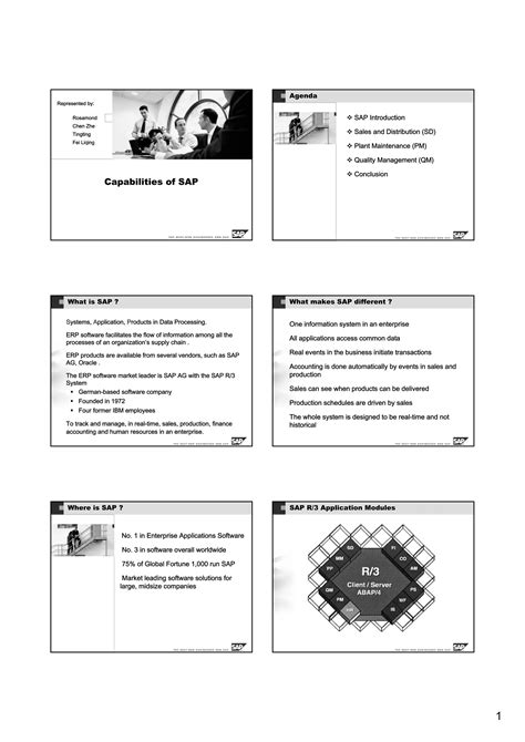 Capabilities Of Sap Pdf