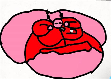 Kirby Inhaled A Blob Balloon By Masongamer3552 On Deviantart