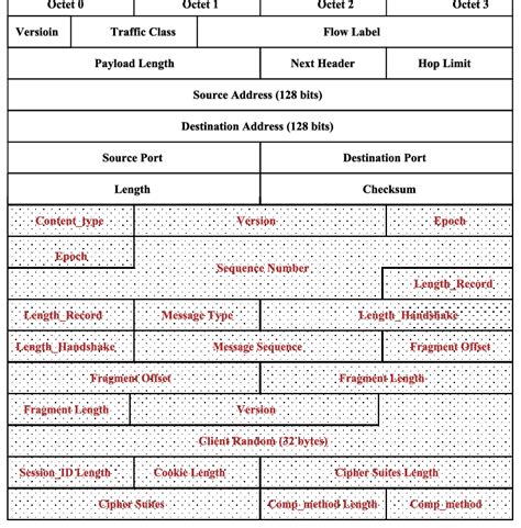 an uncompressed full ip udp datagram containing a dtls clienthello