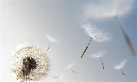 5 easy ways to start practicing mindfulness now by kumara saman medium