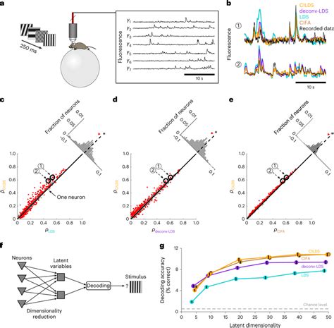 Performance Comparison On Mice V1 Recordings A Two Photon Calcium