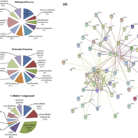 Bioinformatics Analysis Of Differentially Expressed Proteins A