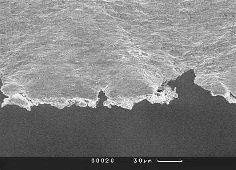 Micrograph Of The Deformed Microstructure At The Center Of The