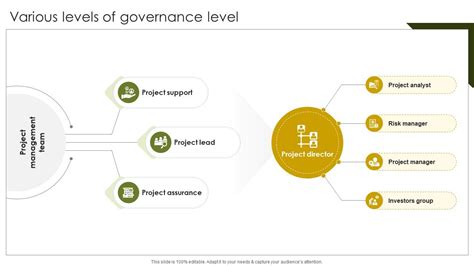 Various Levels Of Governance Implementing Project Governance Framework For Quality Pm Ss Ppt
