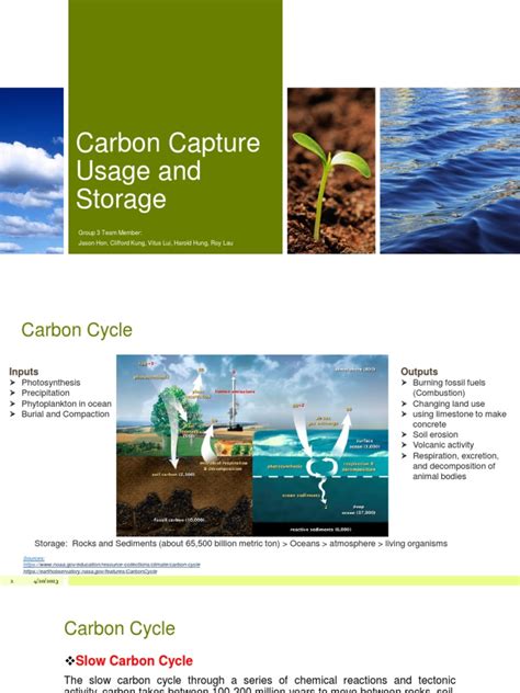 Carbon Capture Usage And Storage Pdf Carbon Capture And Storage Carbon Cycle