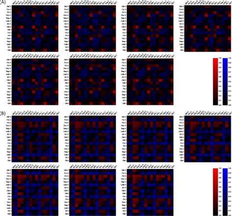 distribution of correlation coefficients between brain regional