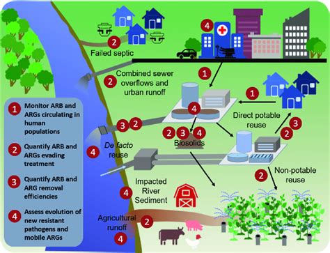 Monitoring Objectives And Transmission Pathways For Antimicrobials Download Scientific Diagram