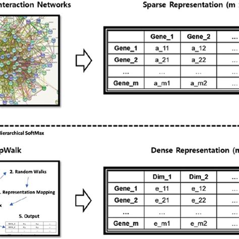 Extracting Subnetworks Using Graph Embedding Technique This Involves Download Scientific