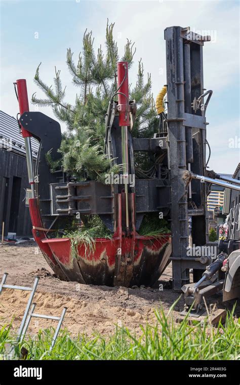 Tree Transplanter Heavy Machine Machine For Transplanting Large Trees