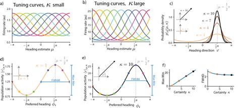 Encoding The Heading Direction Estimate In Neural Population Activity Download Scientific
