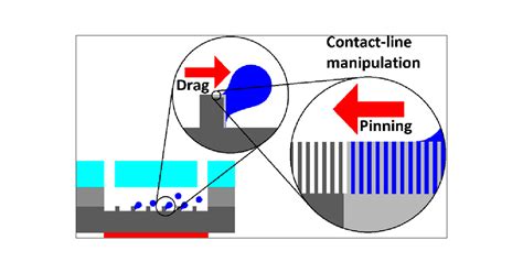 Flow Boiling Enhancement Using Three Dimensional Contact Line Pinning