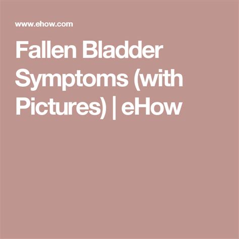 Pin On Bladder