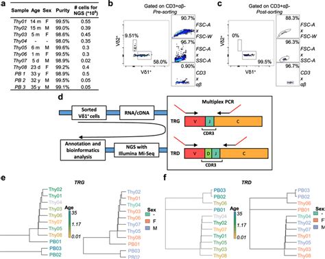 Of Donor Details And Experimental Workflow Employed In This Study