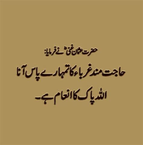 muhammad ubaid shaheen posted on linkedin