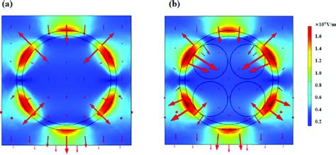 Internal Electric Field And Surface Current Distribution After The Download Scientific Diagram