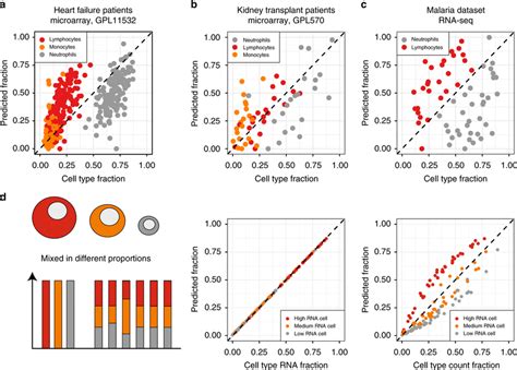 Complete Deconvolution Pipeline Reveals Bias When Fractions Are Download Scientific Diagram