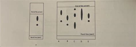 Chromatography Data Analysis Directions Examine The Chegg Com