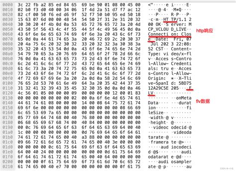 flv协议详解 flv文件变成hrrp流 csdn博客