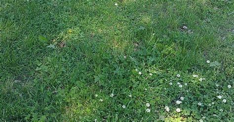 Awesomeness Album On Imgur