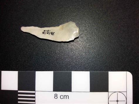 6 Questions With Answers In Lithic Analysis Science Topic