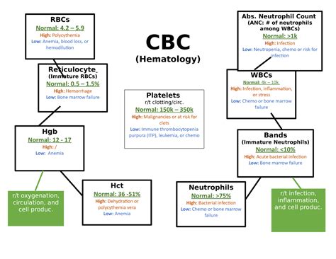Cbc Differential Anc At Darlene Huth Blog